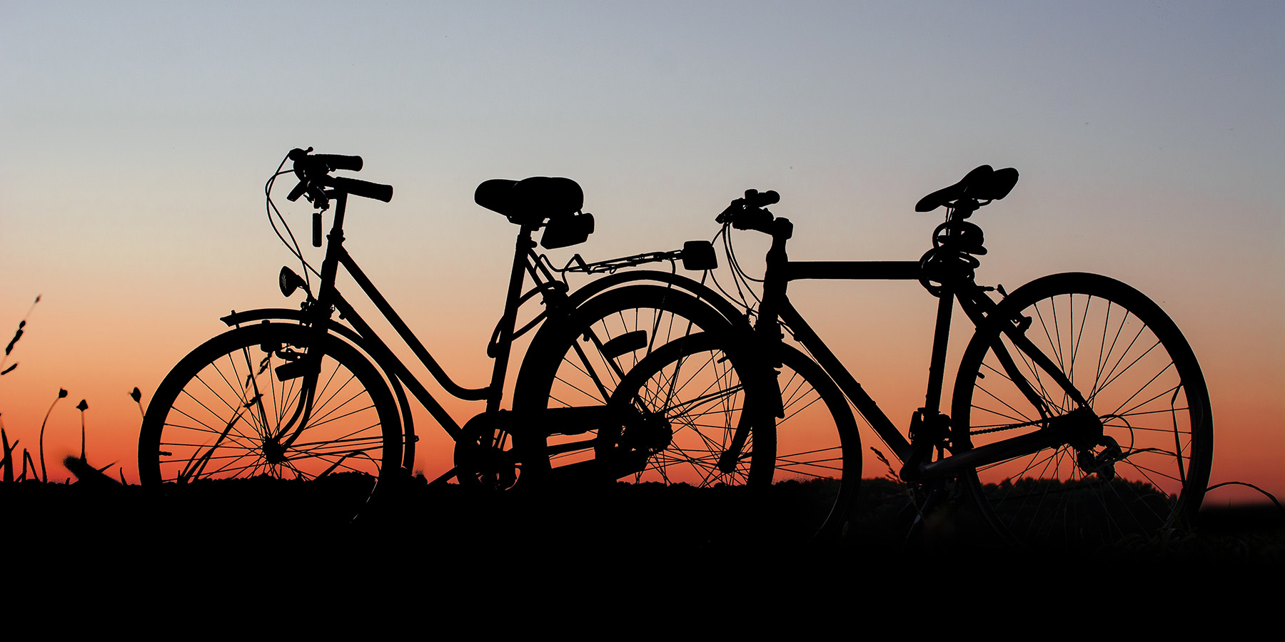 Examples of Sustainable Transport — Konsyse