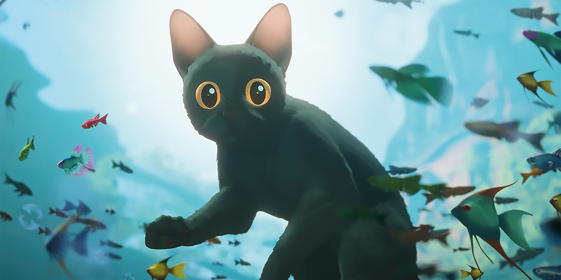 Award-Winning Animated Movie “Flow” Sparks Interest in Black Cats — Konsyse