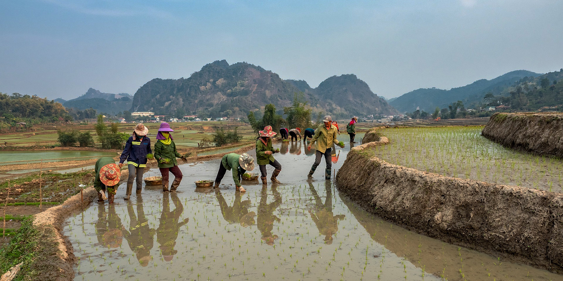 Beyond Group Identity: How Economic Need Shapes Social Cooperation ...