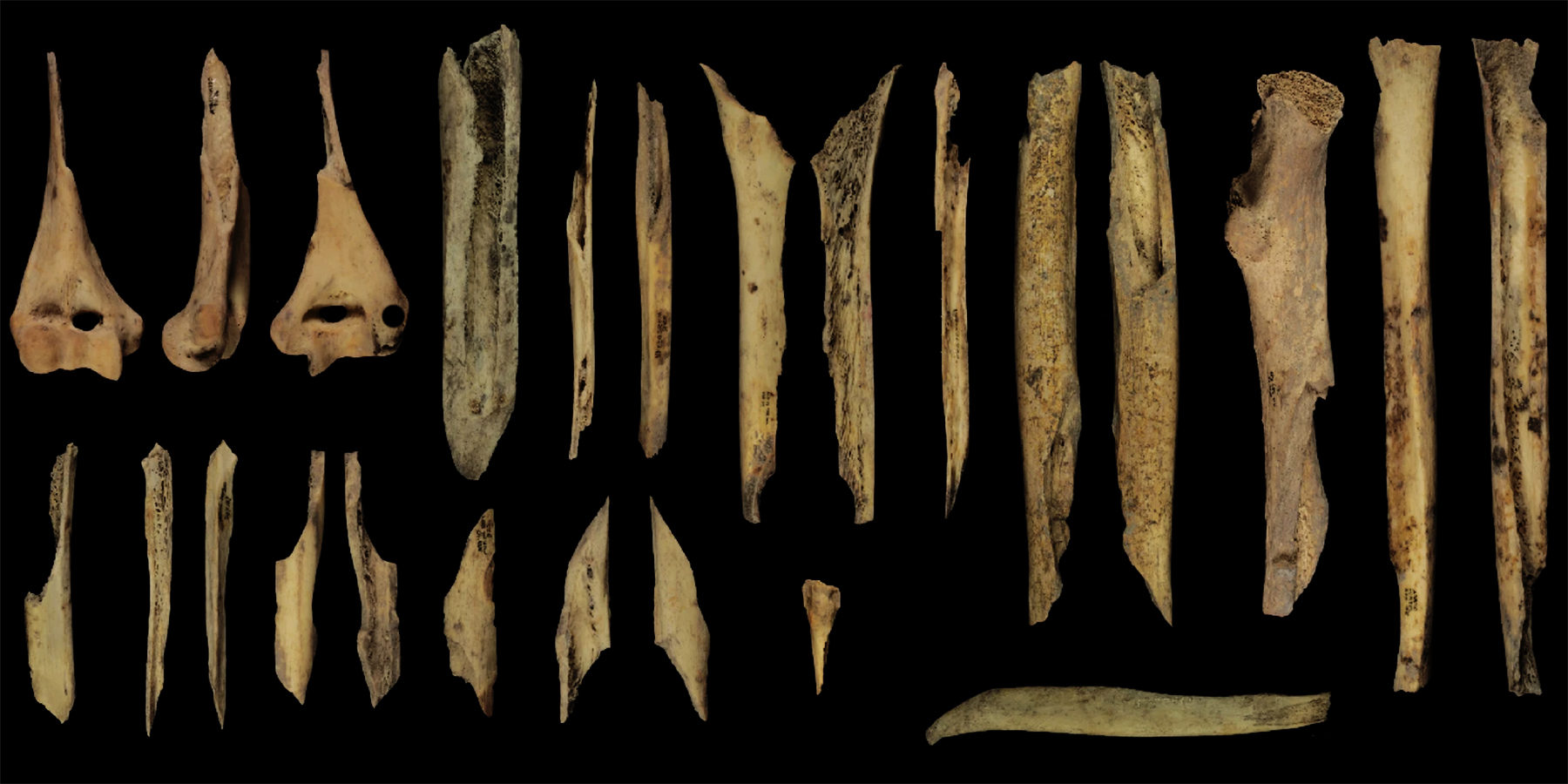 Feast of Flesh: The Grim Cannibal Banquet of Neolithic Spain — Konsyse