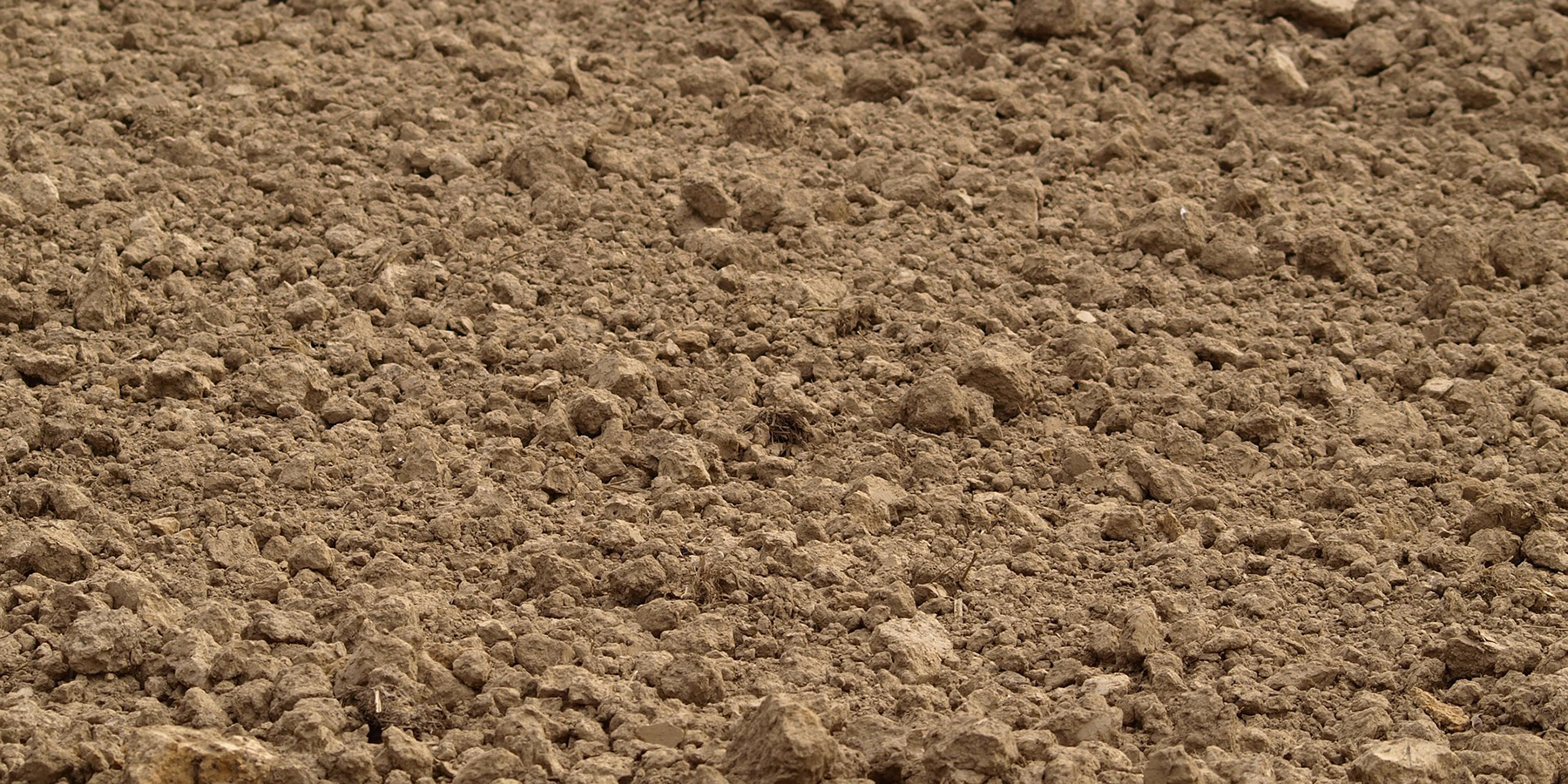 Humify: This Startup Want to Restore Soils as Fertile Carbon Sinks ...